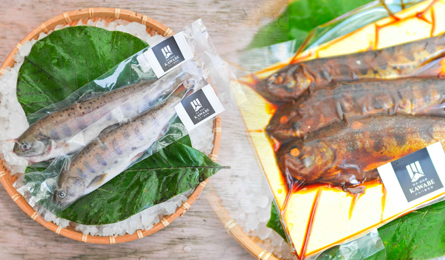 Takamori Tourism Promotion Organization | Introducing the attractions ...